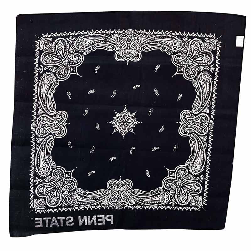 Penn State Spirit Items | Lions Pride